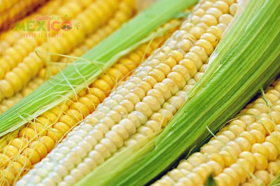 Mapa del Metro de la Ciudad de México: Líneas, Estaciones y Horarios