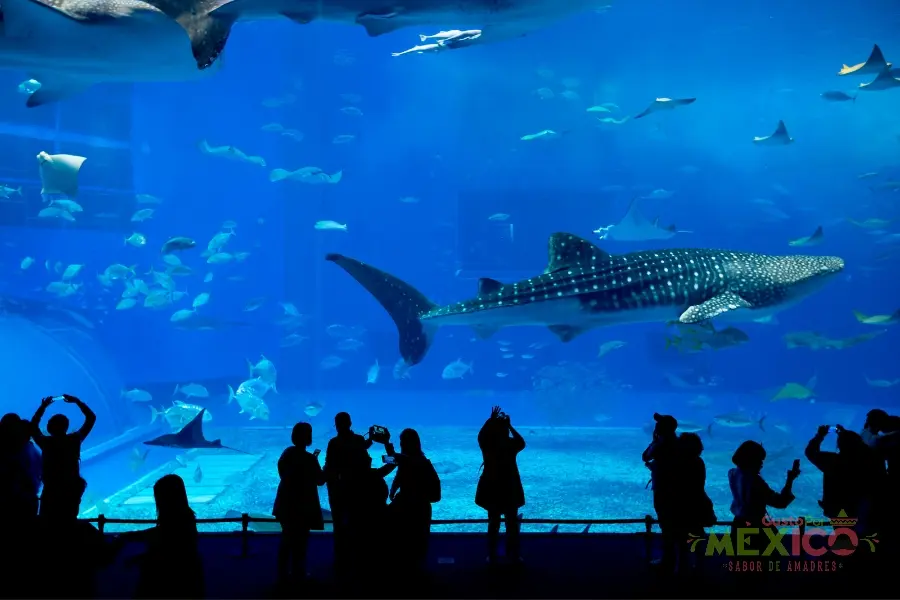 Baja California: Conoce lo MÁS TOP del estado