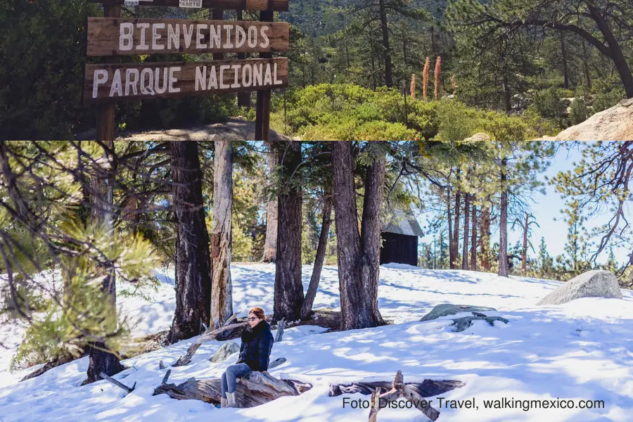 10 Lugares que debes visitar en Ensenada