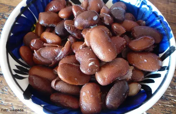 Los 7 Platillos con Frijoles que Debes Probar
