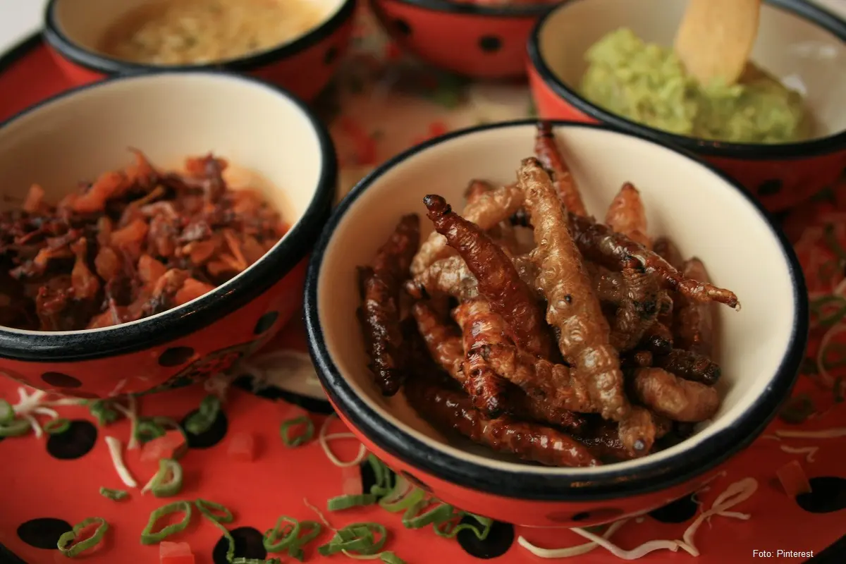 Las Mejores Recetas de Comida Mexicana
